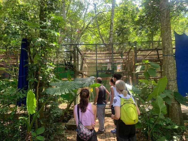 Ninh Binh: Cuc Phuong National Park 1 Day Small Group - FAQ: Practical Questions