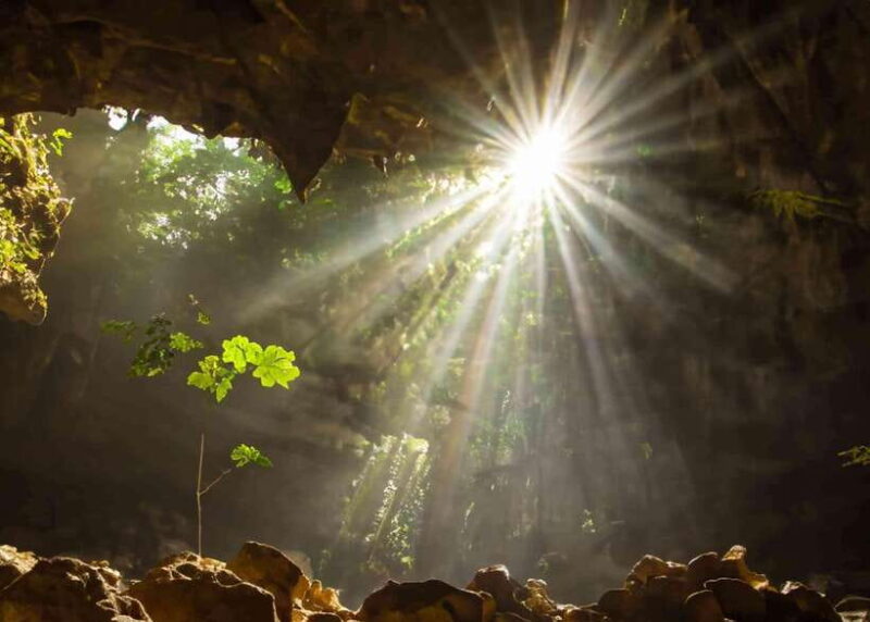Ninh Binh: Cuc Phuong National Park Day Trip with Lunch - Key Points