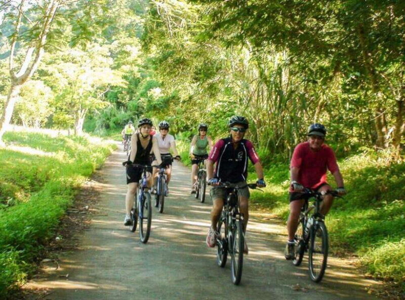 Ninh Binh: Cuc Phuong National Park Day Trip with Lunch - The Sum Up