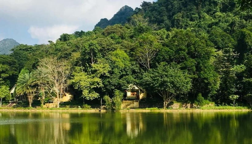 Ninh Binh : Cuc Phuong National Park One Day Group Tour - An In-Depth Look at the Tour Itinerary