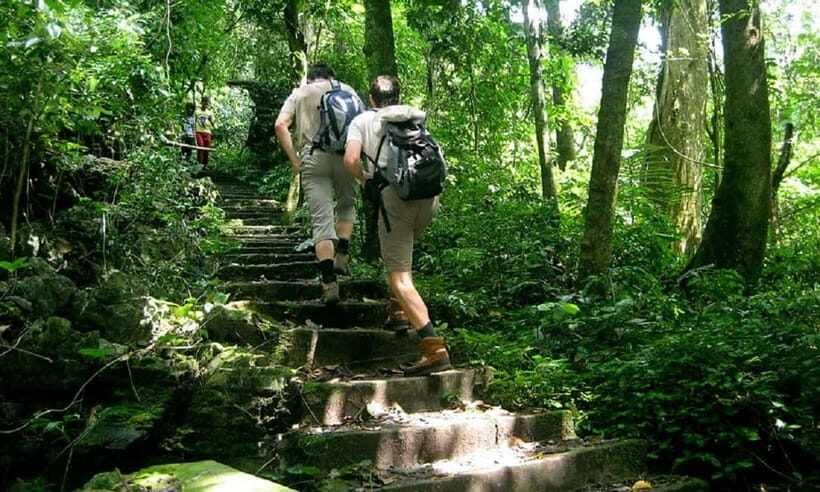 Ninh Binh : Cuc Phuong National Park One Day Group Tour - What Travelers Are Saying