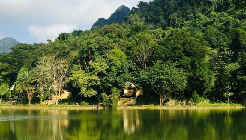 Ninh Binh : Cuc Phuong National Park One Day Group Tour - The Sum Up