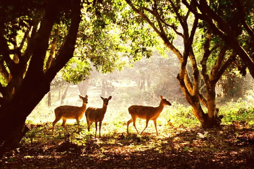 Ninh Binh: Cuc Phuong National Park -The best trekking tour - Who Should Consider This Tour?