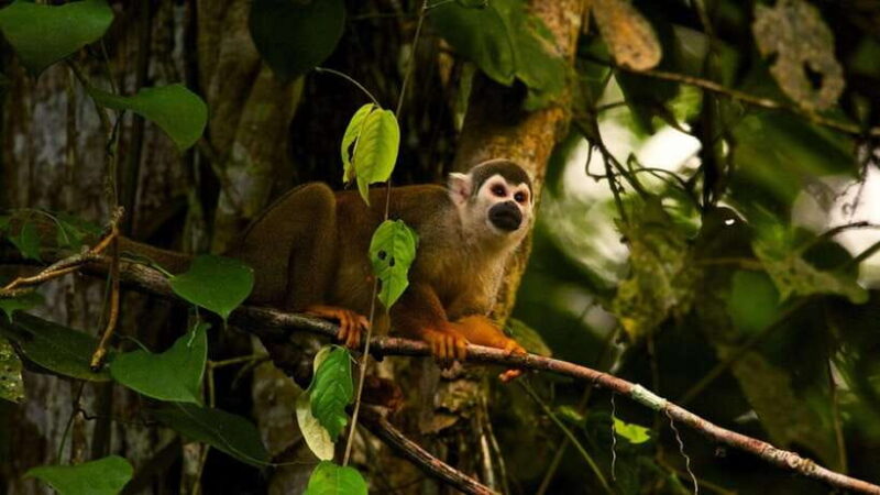 Ninh Binh: Cuc Phuong National Park -The best trekking tour - What the Reviews Say