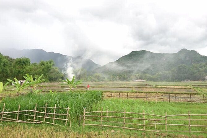 Ninh Binh Daily Tour All-Inclusive Bus, Guide, Lunch & Activities - An Overview of the Itinerary and What to Expect
