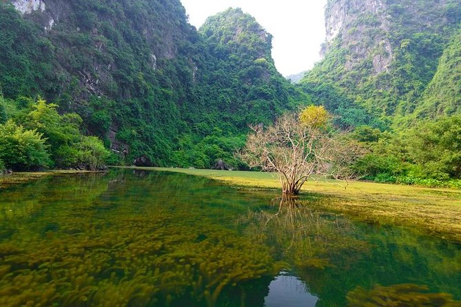 Ninh Binh Day Tour: Bai Dinh Trang An boat trip - Practical Tips and Considerations