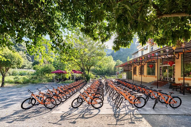 Ninh Binh Day Trip: Bai Dinh-Trang An-Mua Cave, Buffet, Boat, Bus - Value and Who It Suits