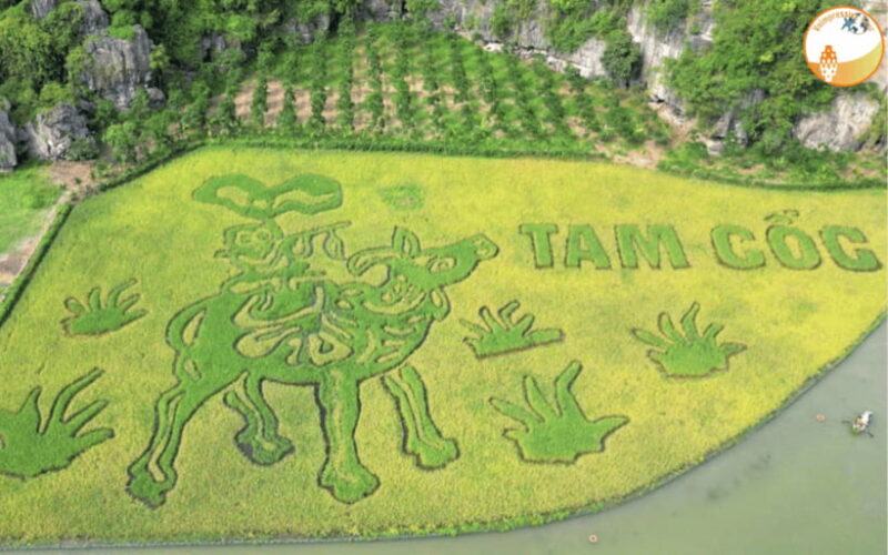 NINH BINH DAY TRIP: HOA LU,MUA CAVES &THUNG NHAM BIRD VALLEY - How This Tour Gives You Value