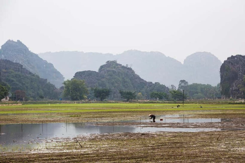 Ninh Binh E-Bike Tour - Ninh Binhs Must-See Highlights - The Sum Up