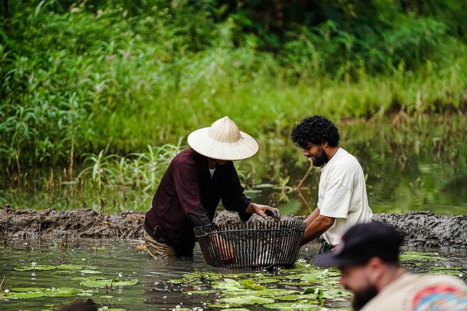 Ninh Binh eco group tour - Buffalo riding, rice planting, fishing - The Landscape and Setting: Why It Matters