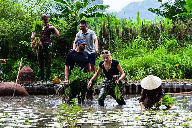 Ninh Binh eco group tour - Buffalo riding, rice planting, fishing - Practical Details: Cost, Group Size, and Booking