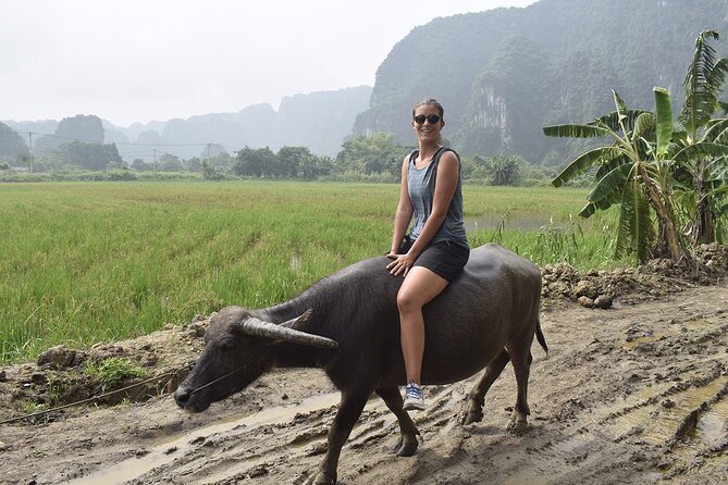 Ninh Binh eco group tour - Buffalo riding, rice planting, fishing - What the Reviews Say