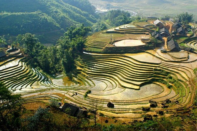 Ninh Binh Exploration: Bai Dinh Pagoda, Trang An, Boat, Mua Caves - FAQ