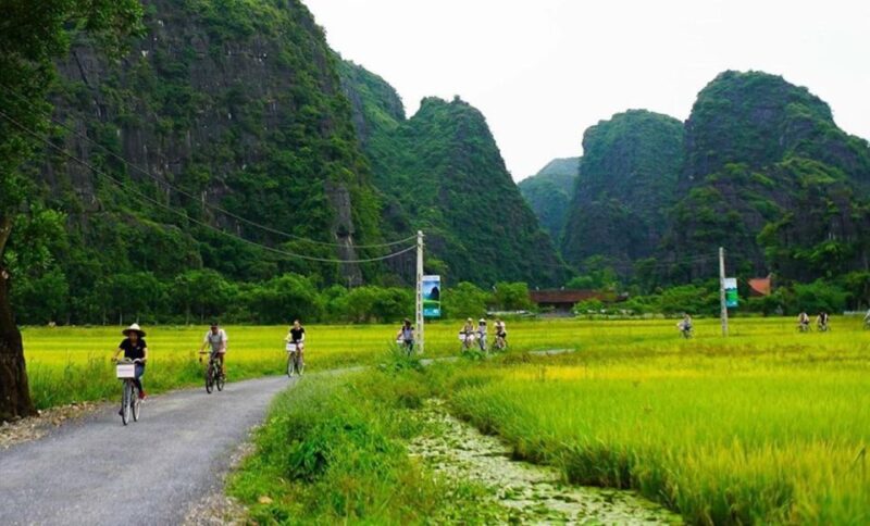 Ninh Binh Full Day Hoa Lu Tam Coc Mua Cave Tour Buffet, Boat - Why This Tour Stands Out