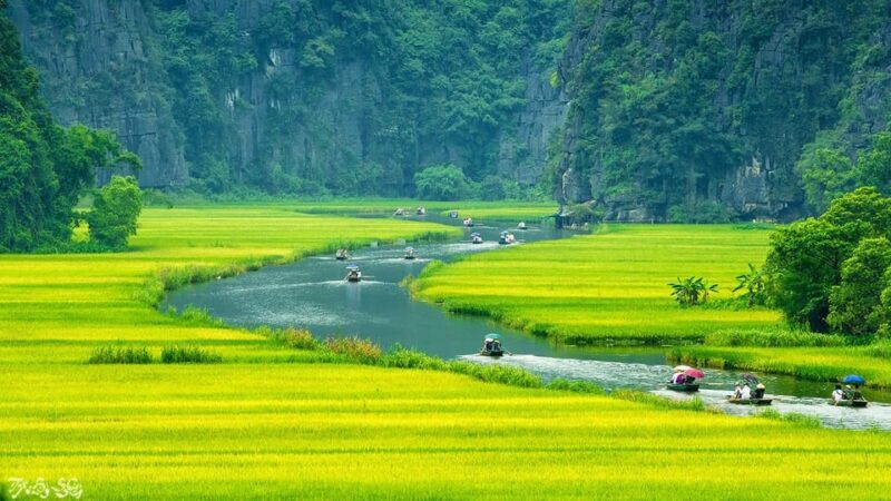 Ninh Binh full day - Mua Cave - Tam Coc boating - Hoa Lu - Who Will Love This Tour?
