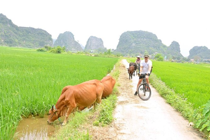 Ninh Binh Full-Day Small Group of 9 Guided Tour from Hanoi - FAQ