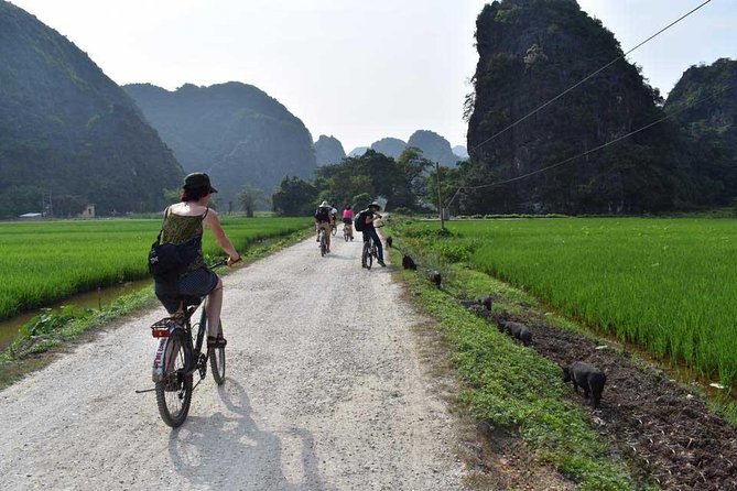 Ninh Binh Full Day Tour: Bai Dinh Pagoda - Trang An - Mua Cave - Climbing Mua Cave for Panoramic Views