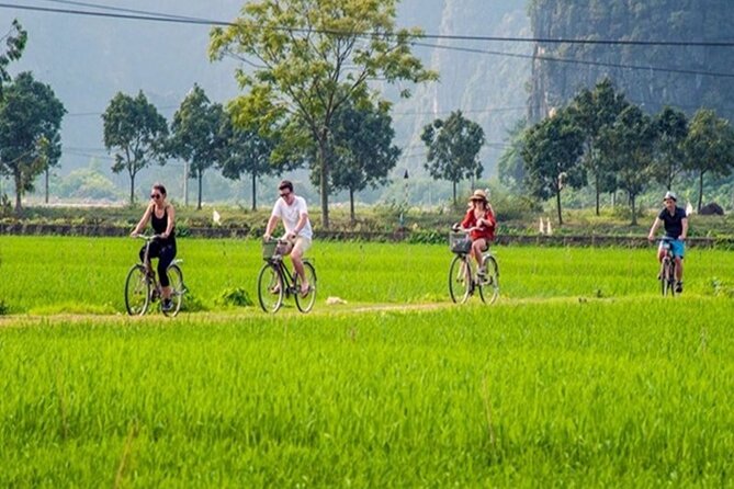 Ninh Binh Full Day Tour to Hoa Lu Tam Coc Mua Cave Buffet Lunch - Climbing to Mua Cave for Panoramic Views
