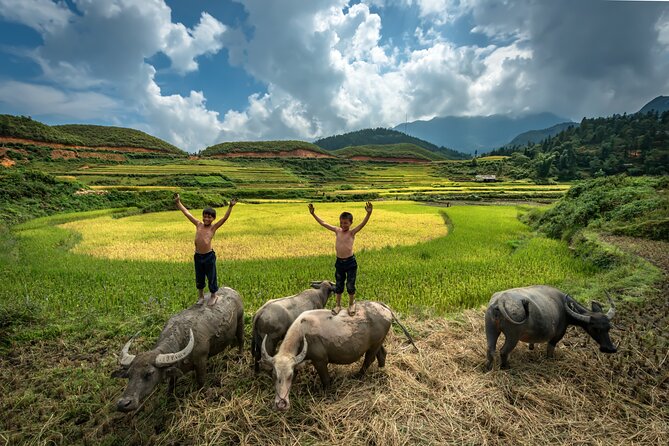 Ninh Binh Group Tour of 11 from Hanoi via Mua Cave Tam Coc Hoa Lu - FAQ