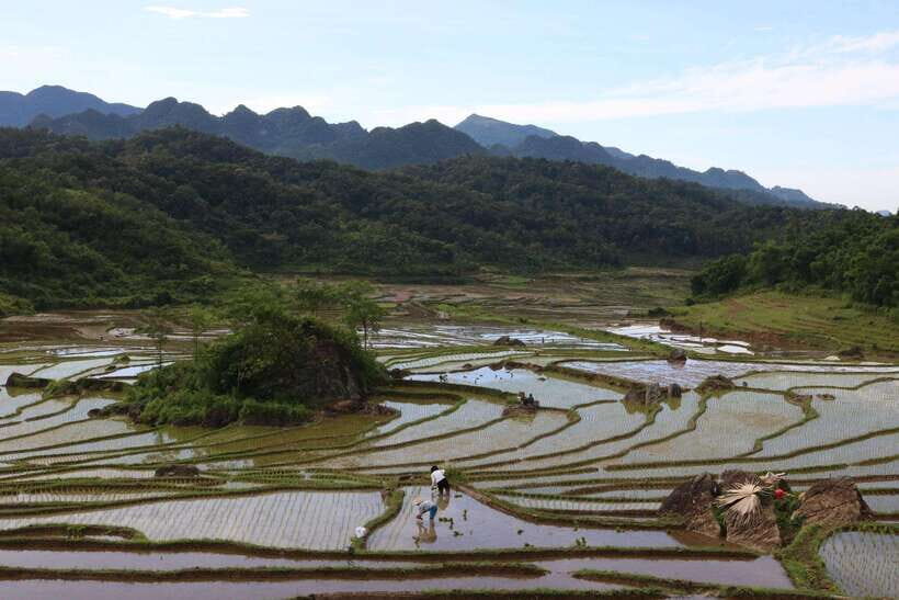 Ninh Binh: Highlights Luxury Small Group Day Tour - Bike Ride: Experience Rural Vietnam