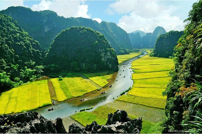 Ninh Binh: Hoa Lu - Tam Coc 1 Day Trip - An In-Depth Look at the Tour Experience