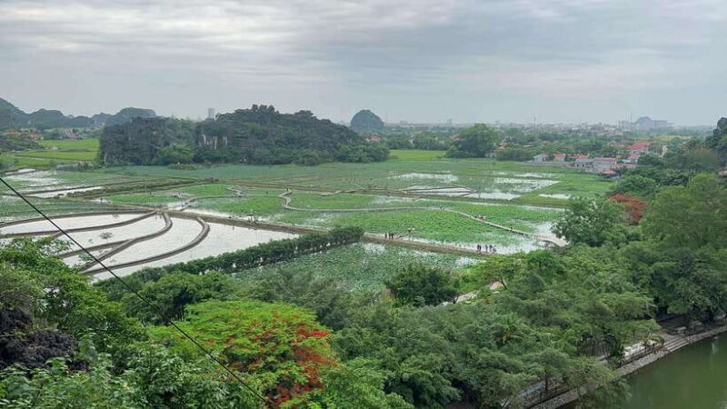 Ninh Binh: Hoa Lu, Tam Coc, Mua Cave Group Tour From Hanoi - Cruising Through Tam Coc’s Stunning Caves