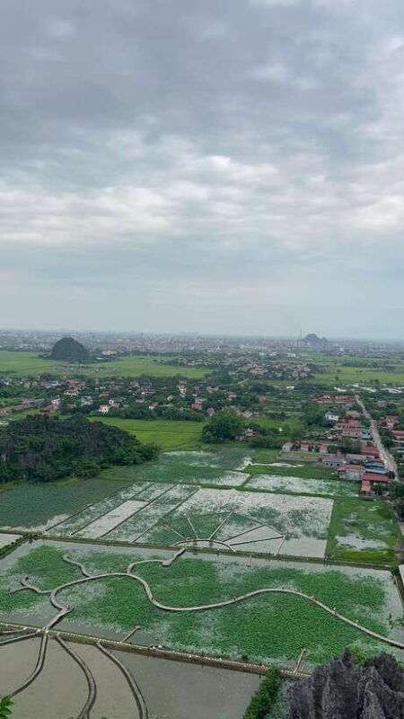 Ninh Binh: Hoa Lu, Tam Coc, Mua Cave Group Tour From Hanoi - Cycling Through Villages and Fields