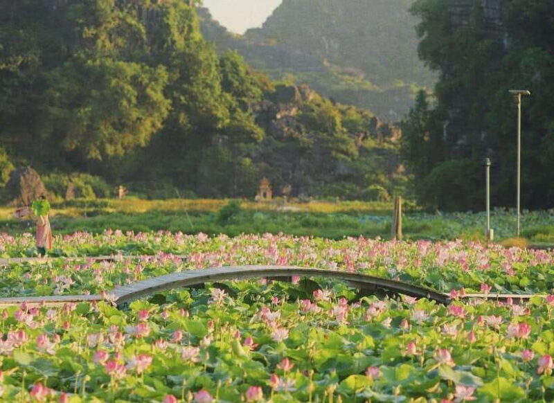 Ninh Binh Hoa Lu, Trang An,Mua Cave,Cuc Phuong National Park - FAQ