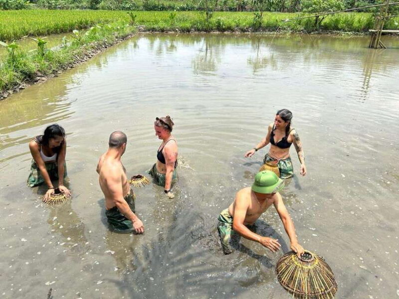 Ninh Binh Jeep Tour One Day - Pick up at Ninh Binh - Scenic Drive Through Thung Nang and Cave Exploration