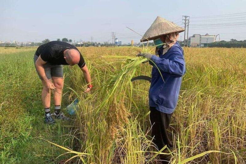 Ninh Binh Jeep Tours From Hanoi: JEEP - BOAT - DAILY LIFE - FAQs