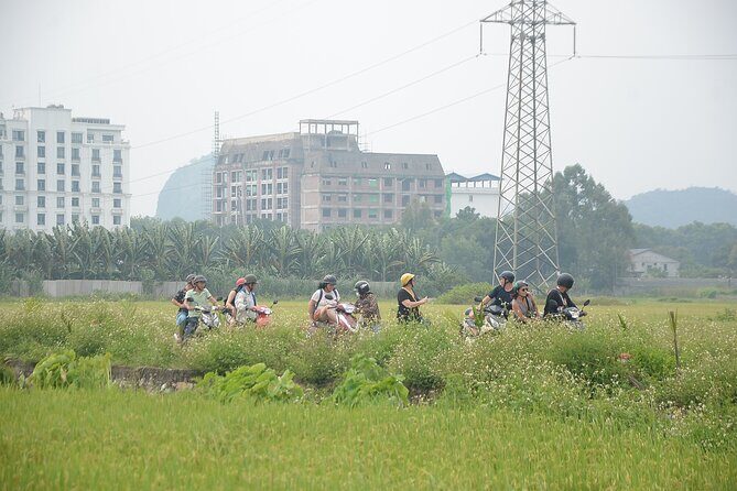 Ninh Binh Motobike Guided Tour Full Day - Key Points