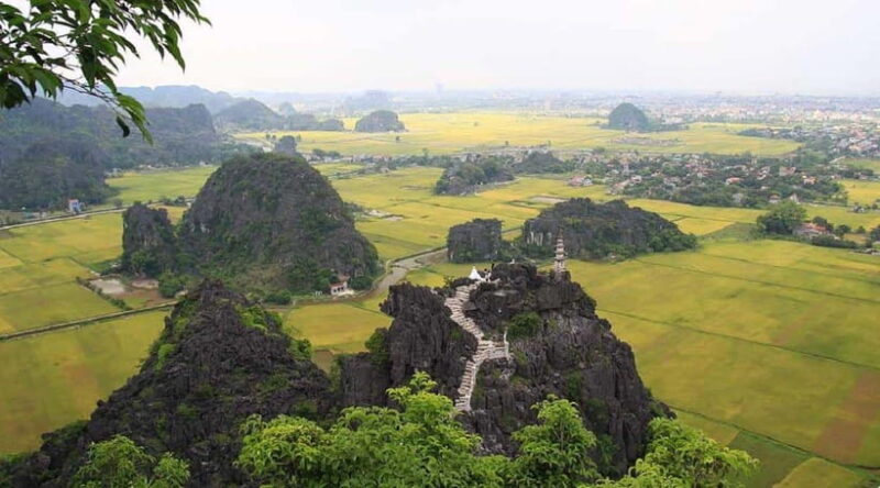 Ninh Binh : Mua Cave, Bai Dinh Pagoda, and Trang An Day Tour - Who Will Love This Tour?