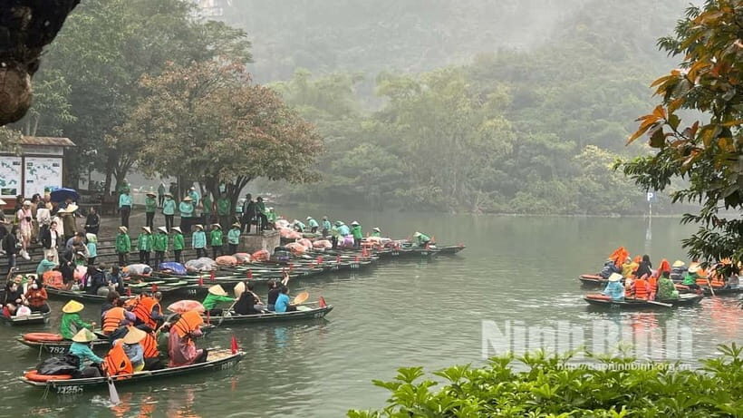 Ninh Binh: Mua Cave Hike, Trang An Boat & Village Bike Tour - The Practical Stuff: Logistics, Value, and Tips