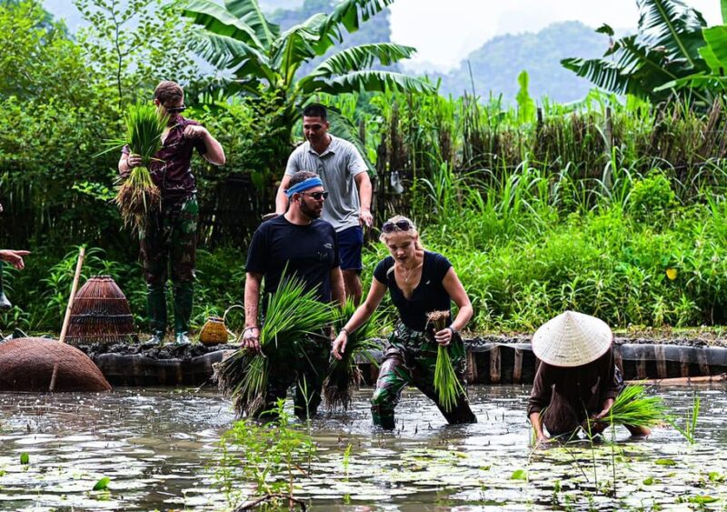 Ninh Binh: Rice planting and fishing by basket tour - A Detailed Look at the Experience