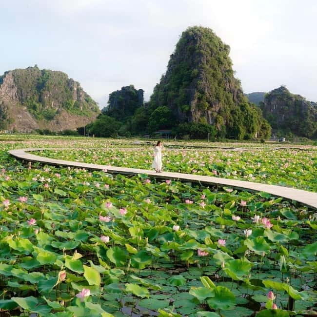 Ninh Binh Sunset Motorbike: Mua Cave, Coi Khe & Hoa Lu Town - What’s Included & What’s Not