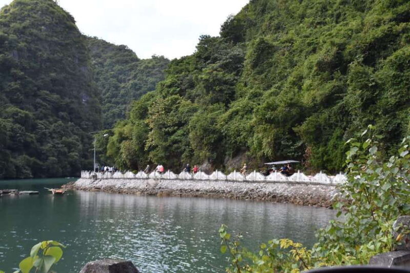 Ninh Binh to Cat Ba: 2Days- LanHa bay tour-bike, kayak,lunch - Who This Tour Is Perfect For