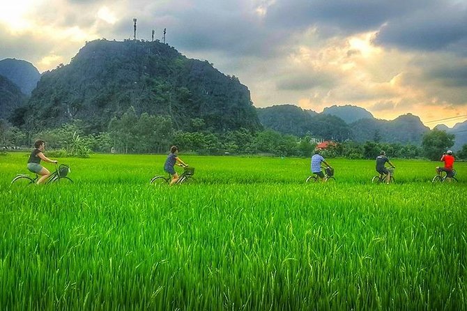Ninh Binh Tour Bai Dinh Trang An Mua Cave Small Group Limousine - Who Should Consider This Tour?