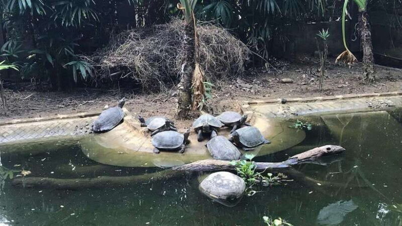 Ninh Binh Tour to Cuc Phuong - Van Long Reserve - Jeep Tours - The Value of This Tour