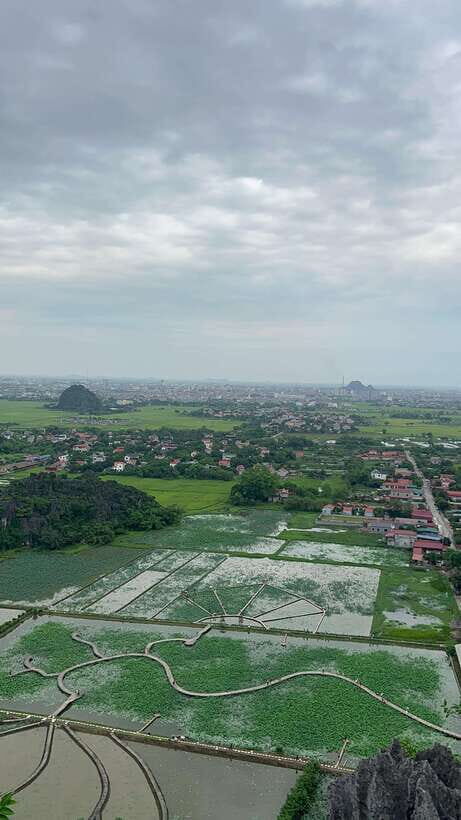 Ninh Binh Trang An, Mua Cave, Cuc Phuong National Park Tour - The Sum Up