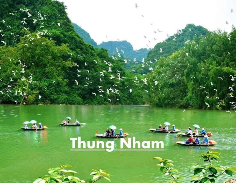 Ninh Binh: Trang An, Mua Cave, Hoa Lu & Bird Valley Day Trip - The Sum Up