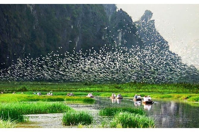 Ninh Binh  Van Long Wetland Reserve 2 Days 1 Night - Key Points