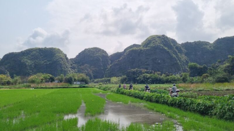 Ninh Binh Vespa Tours from Hanoi: Vespa + Boat + Daily Life - Why This Tour Is a Solid Choice