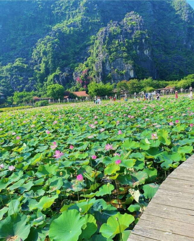 Ninh Binh:Motorbike Tour Countryside Visit and Cooking Class - Key Points