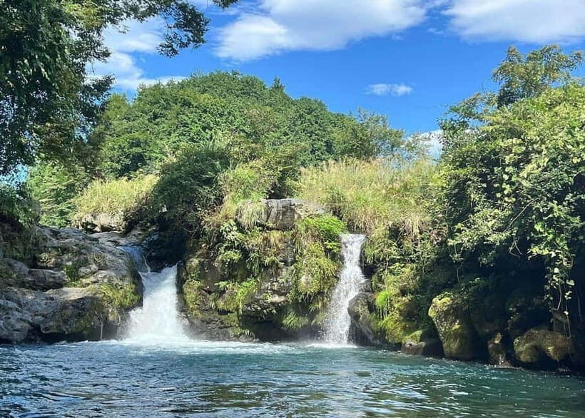 Nishiusuzuka: Fuji Forest Hiking Tour with Guide & Transfer - An In-Depth Look at the Fuji Forest Hiking Tour