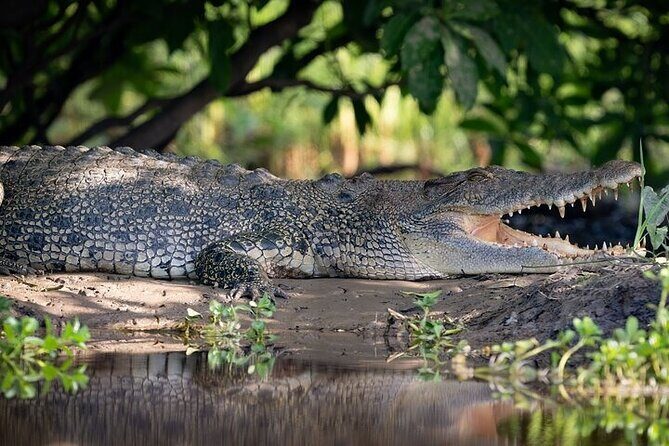 Nitmiluk National Park & Katherine Hot Springs - Sacred Owl Tours - A Closer Look at the Itinerary