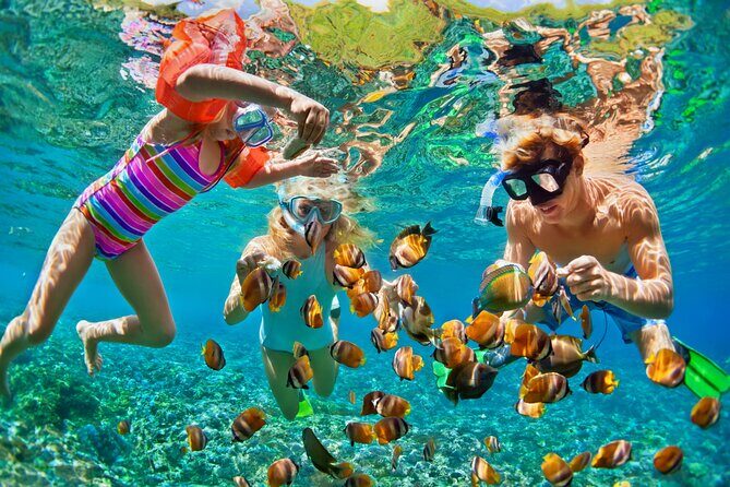 Nizuc Reef Snorkel Experience - Final Thoughts