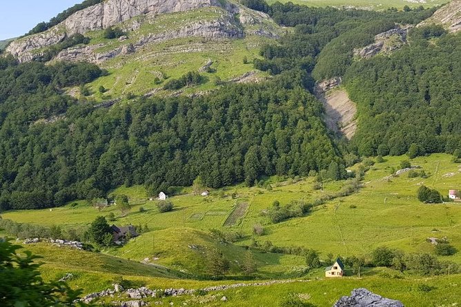 Njegusi Smokehouse, Farm to fork experience & Kotor walking tour - Summary: Why Choose This Tour?