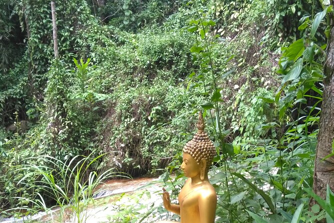 No.1 Chiang Mai: 3-Hour Monk Trail Hike to Wat Doi Suthep & Palad - Final Thoughts