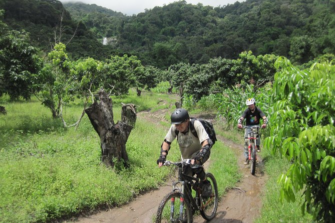 No.1 Chiang Mai: Advanced XC Downhill Biking, Doi Suthep N. Park - Practical Details and Considerations