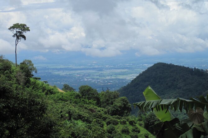 No.1 Chiang Mai: Advanced XC Downhill Biking, Doi Suthep N. Park - FAQ